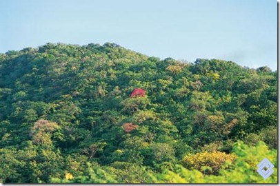 Trópicos - Ciencia Explicada